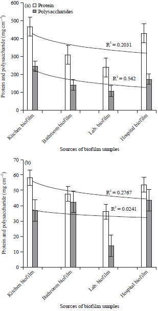 Quantification of the Metabolic Activities of Natural Biofilm of ...