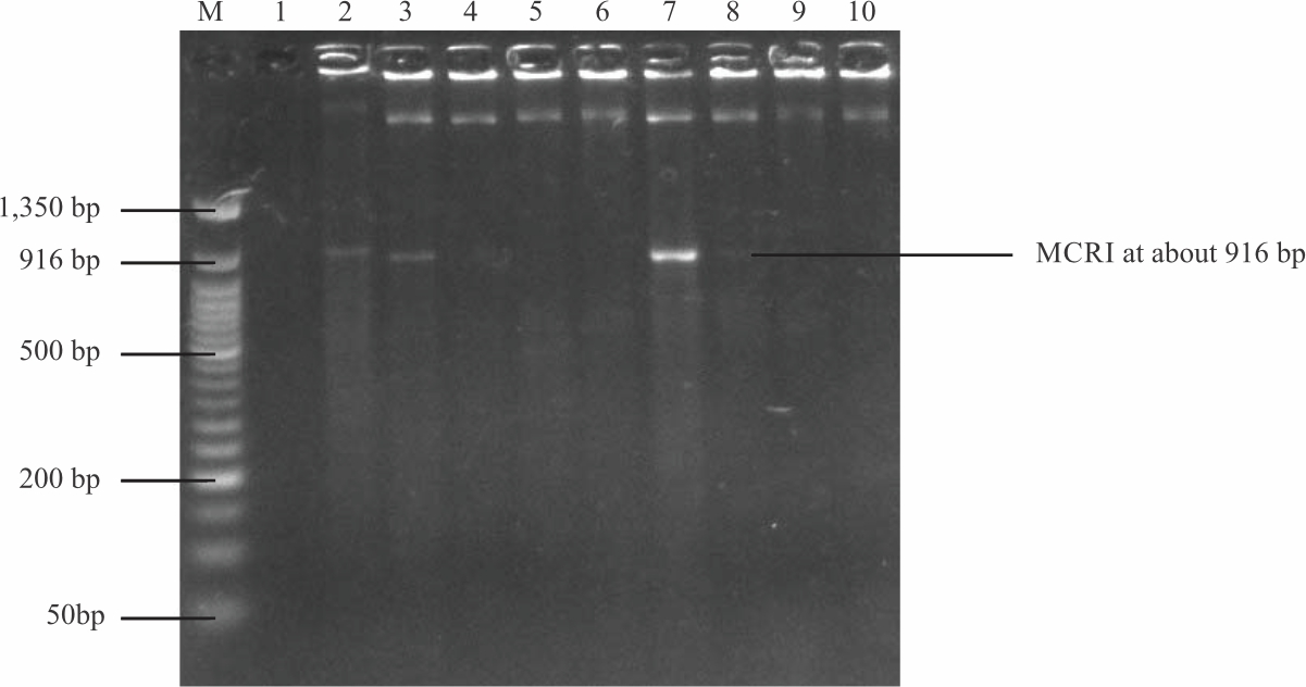 Detection and Dissemination of MCR-1 Colistin Resistance Gene in a ...