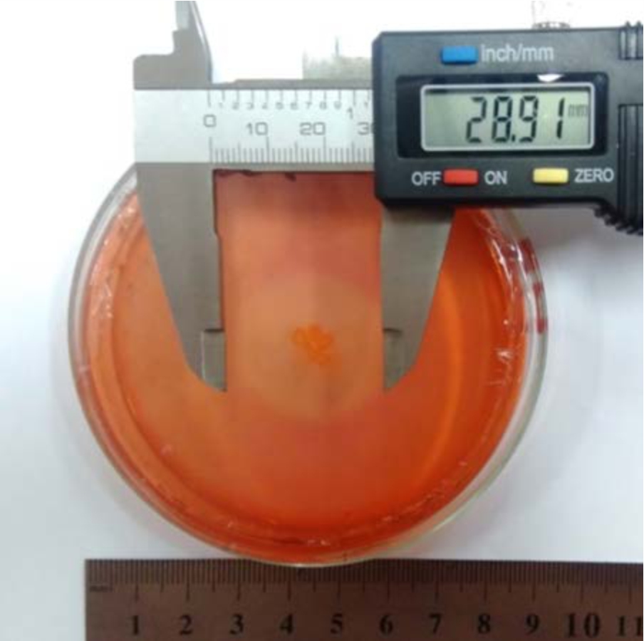 Enzyme Activity of Cellulolytic Bacteria from Biological Education and ...