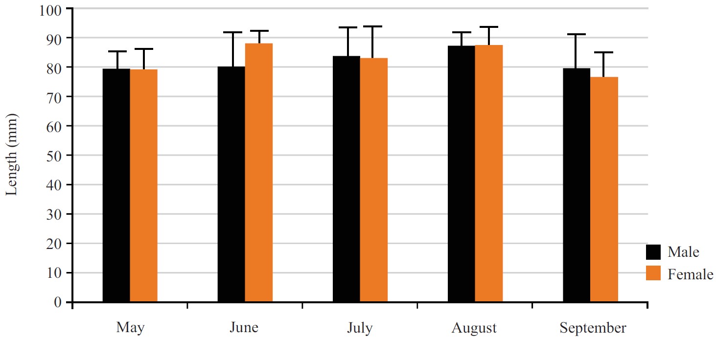 Reproductive Aspects of the Bamboo Clam Solen lamarckii (Dhayes 1839 ...