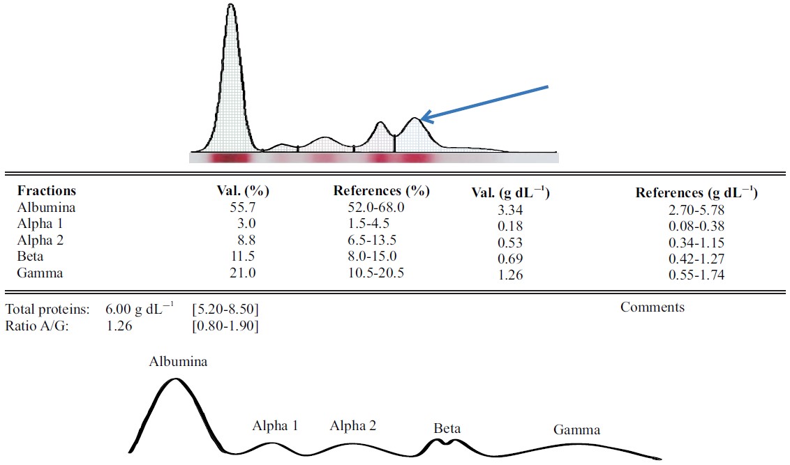 Association Between Circulating 25-Hydroxy Vitamin D Receptor and ...