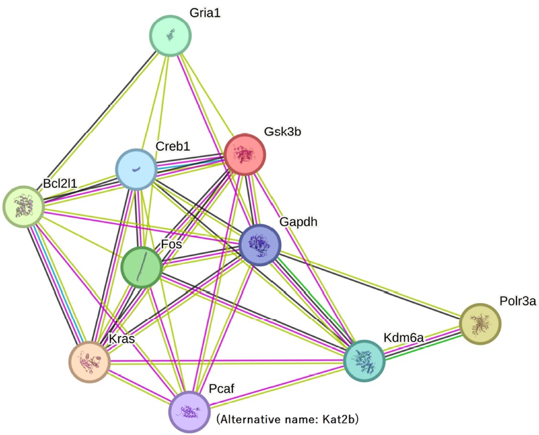 Comprehensive Analysis of the Gene Expression Profiles of Rat Brain ...