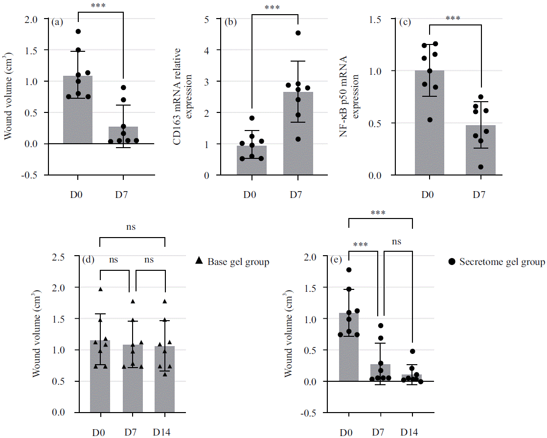 Secretome of Human MSC Gel Improves DFU Healing through NF-κB p50 and ...