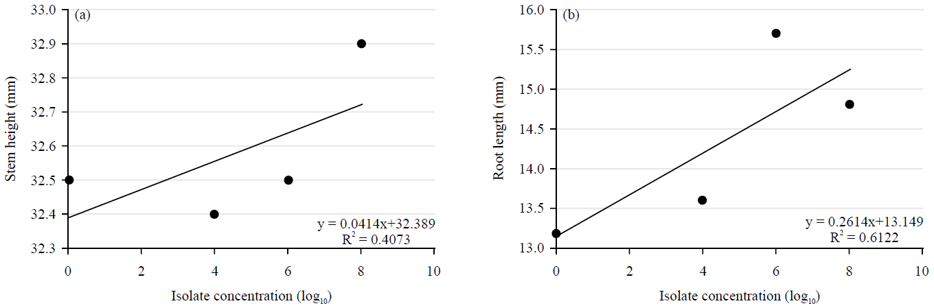 Growth Effect of Pseudomonas Isolates on Tomato in Greenhouse Production