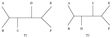 Modified k-Tuple Method for the Construction of Phylogenetic Trees