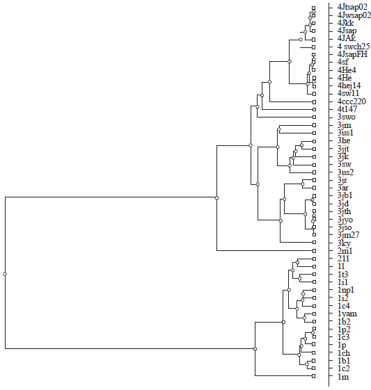 Modified k-Tuple Method for the Construction of Phylogenetic Trees
