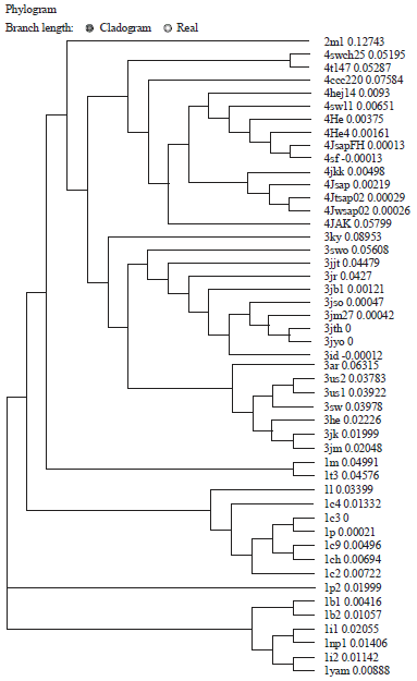 Modified k-Tuple Method for the Construction of Phylogenetic Trees