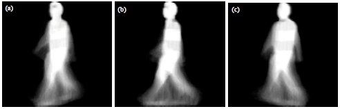 Multi-View Gait Recognition Using Enhanced Gait Energy Image and Radon Transform Techniques