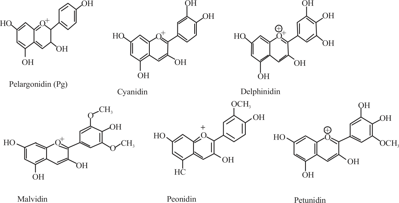 Phytochemical and Pharmacological Aspects of Anthocyanins