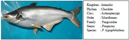 Effect of Water Parameters on Mortality Rate of River Catfish ...