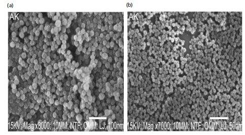 Synthesis, Characterization and Applications of Silica Nanoparticles ...