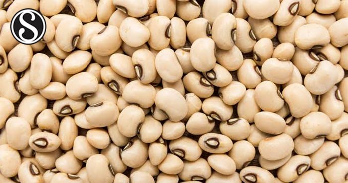 Bio-efficacy of Some Plants Ethanolic Extracts Against Cowpea Weevil ...