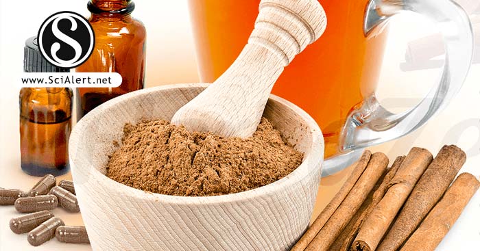Comparison of the Efficacy of Cinnamon Capsule over Cinnamon Infusion ...