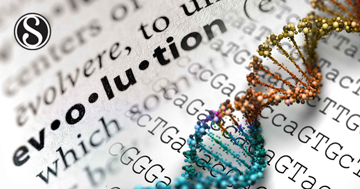 Saltationism Against Gradualism, A New View on Evolution