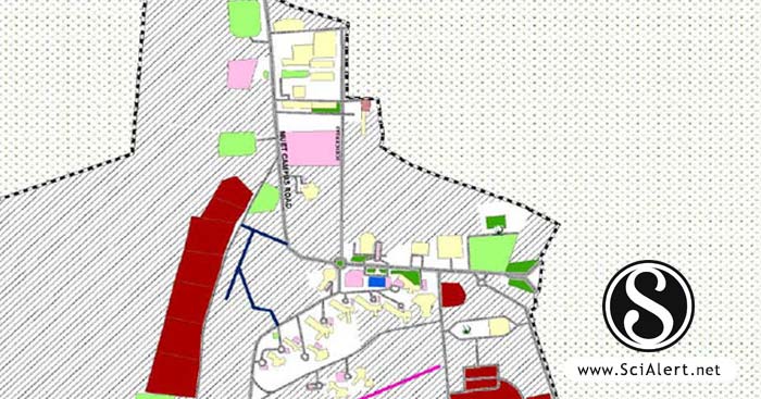 Impact of the Pedestrian System on Environment and Individual Safety in ...