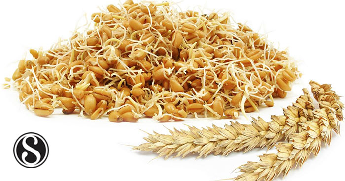 Effect of Wheat Germ on Chemical, Sensory and Technological Properties ...