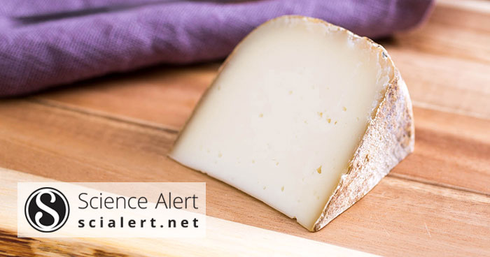 Characteristics of Goat Milk Cheese Added with Liquid Smoke and Porang ...