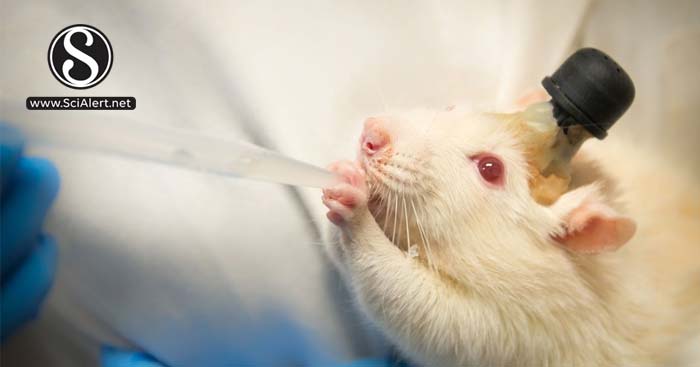 Bisacurone Ameliorated Pressure Overload-Induced Cardiac Hypertrophy in ...