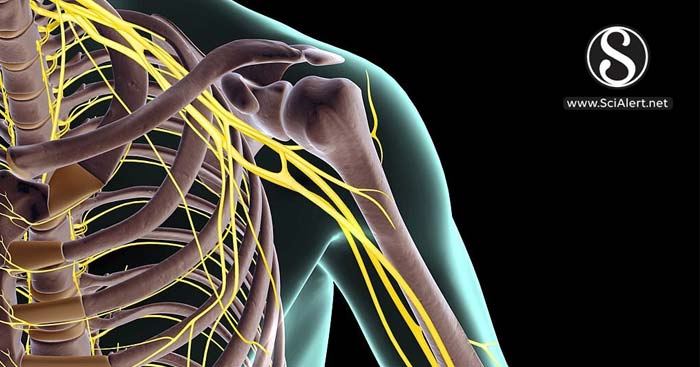 Prednisone Combined with Antiviral Agents for the Treatment of Early ...