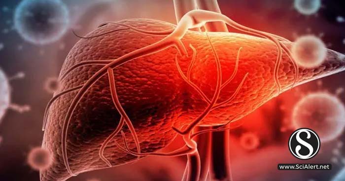 Acemetacin Induces Antioxidant Dysregulation, While Mefenamic Acid has ...