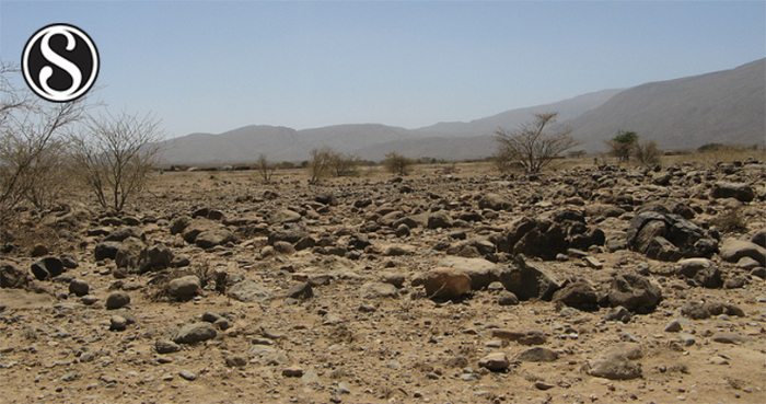 Dryland Farming and the Agronomic Management of Crops in Arid Environments