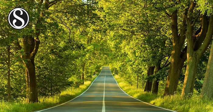 Productive Urban Landscape through Urban Trees on Roadside Greenery of ...