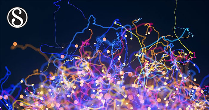 Risk Assessment with Decision Tree in Professional Liability Insurance ...