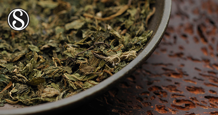 Galacta Momma Tea for Mother’s Milk Booster: Development of Herbal ...