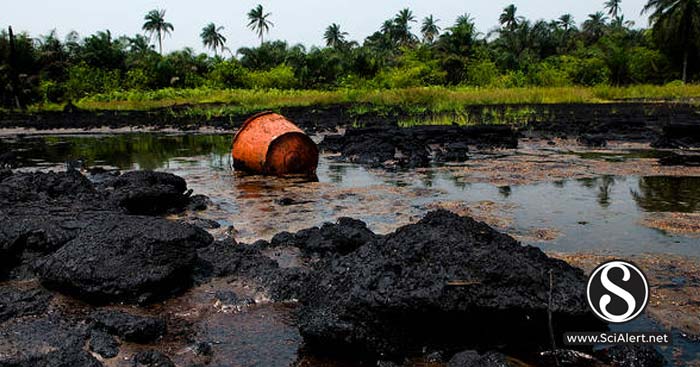 Effect of Crude Oil Spillage on Crop Production in Okerenkoko-gbene in ...