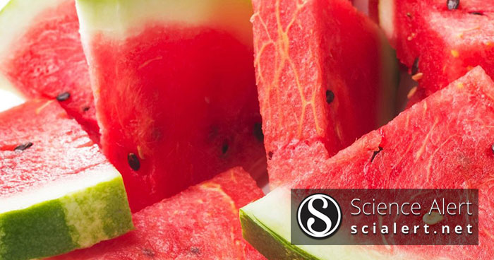 Anti-hyperuricemic, Uricosuric and Xanthine-oxidase Inhibitory ...