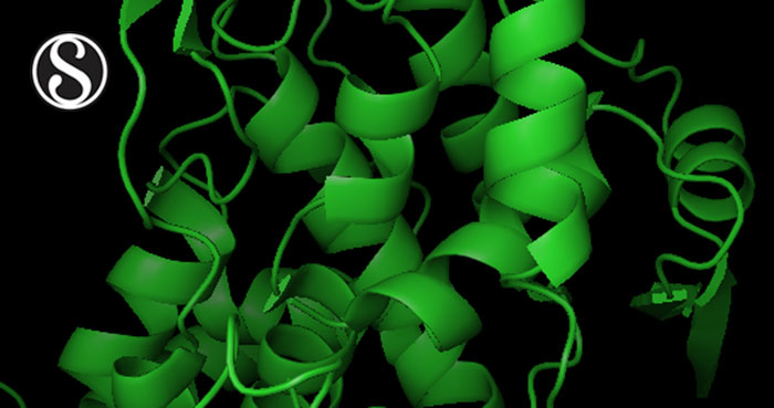 Effect of Natural Tal-enzyme on Functional Foods for Tyrosinemia ...