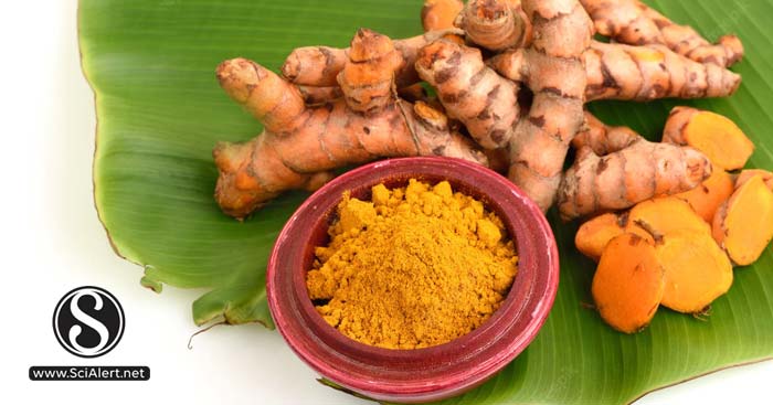 Ethanol Extract of Curcuma longa L. Protects Against Carbon ...