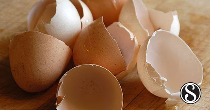 Adsorption of Amaranth Dye from Aqueous Solution Using Environmental ...