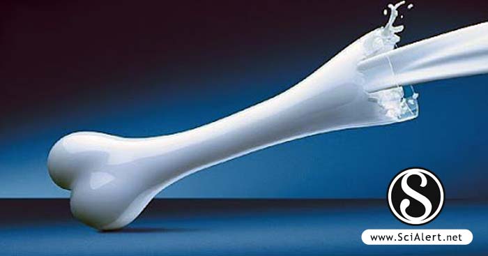 Bone Health and its Relation to Energy Intake, Fat Mass and its ...