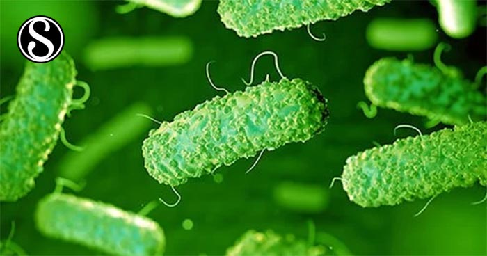 Purification and Characterization of D-psicose 3 Epimerase (DPEase ...