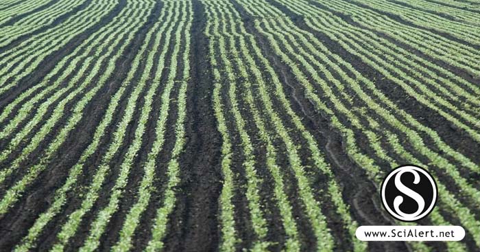 Crop Calendar Shift as a Climate Change Adaptation Solution for Cassava ...