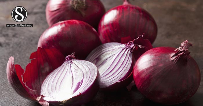 Efficiency of Red Onion Peel Extract Capsules on Obesity and Blood Sugar