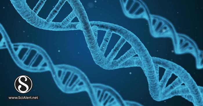 Role of DNA Repair Deficiency in Cancer Development