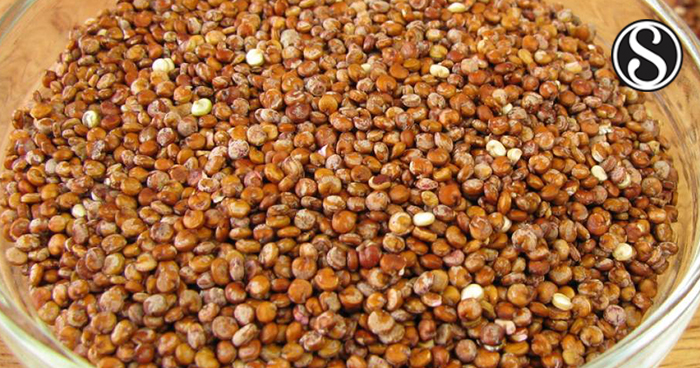 Effect of Tea Dregs Form and Different Fermentation Process on the ...