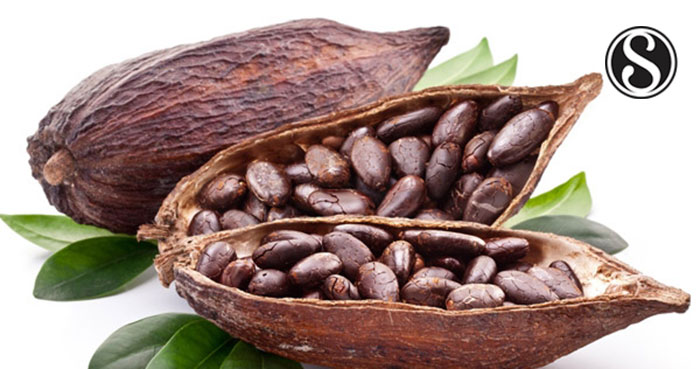 Evaluation of Physicochemical Properties and Antioxidant Activity of ...