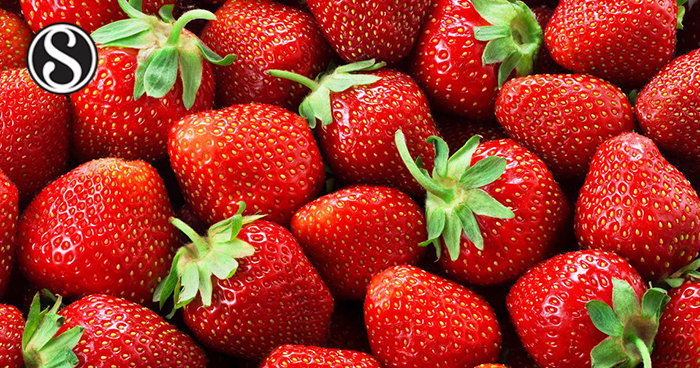 Functional Yogurt Fortified with Phenolic Compounds Extracted from ...