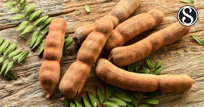 Effect of Length of Soaking and Fermentation Using Palm Juice on ...