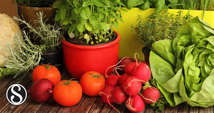 Effects Of Natural And Artificial Drying Methods On The Nutritional
