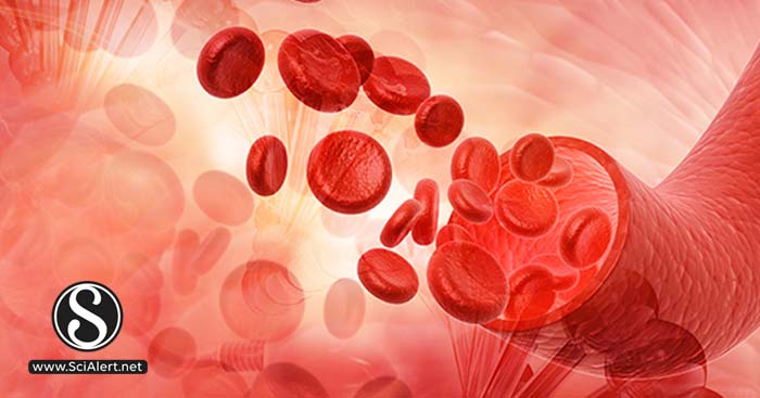 Spectrum of Pathogens Isolated from Patients with Hemolytic Diseases